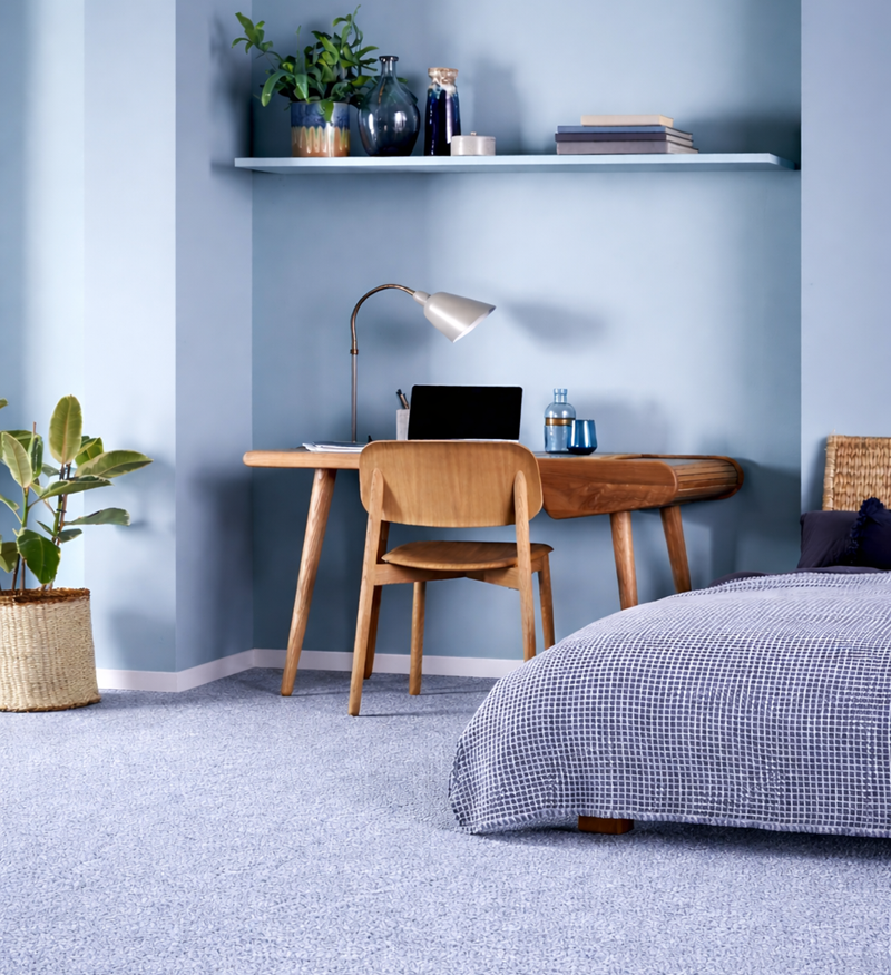 Blue Carpet – Carpets Online